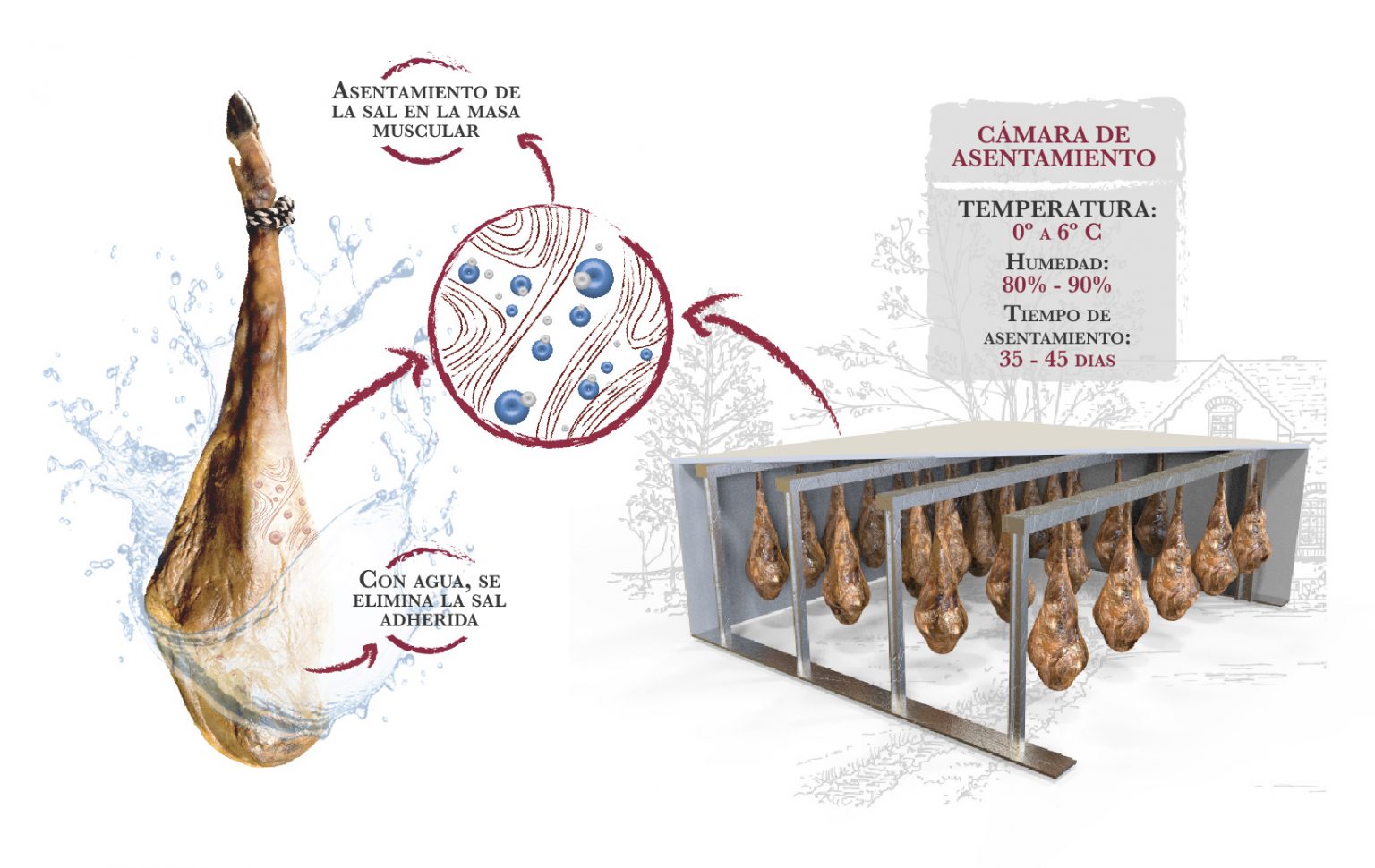 ¿Dónde se cría el mejor jamón del mundo? - Enterate Delicias