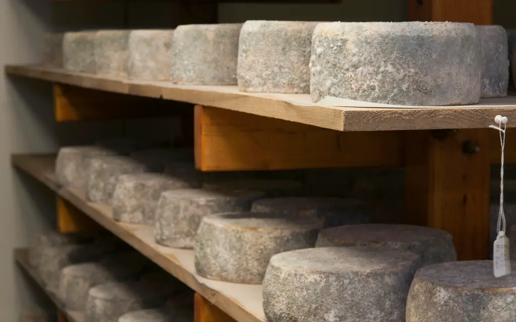 ¿Cuál es el queso más asqueroso del mundo? - Enterate Delicias