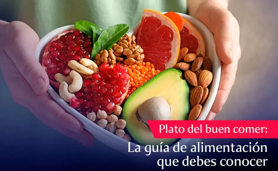 ¿Qué debe tener una comida completa? - Enterate Delicias