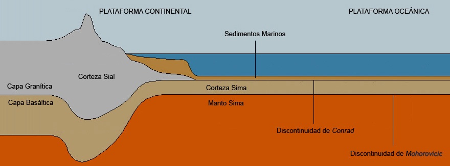 ¿Cuáles son las 6 capas de la corteza cerebral? - Enterate Delicias
