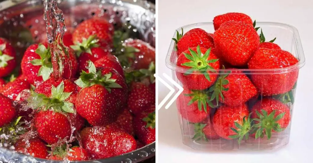 ¿Cuánto tiempo duran las manzanas congeladas? - Enterate Delicias