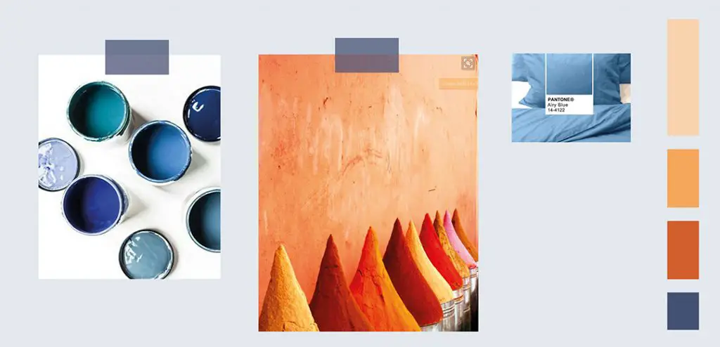 ¿Qué significa la flor de 5 pétalos? - Enterate Delicias