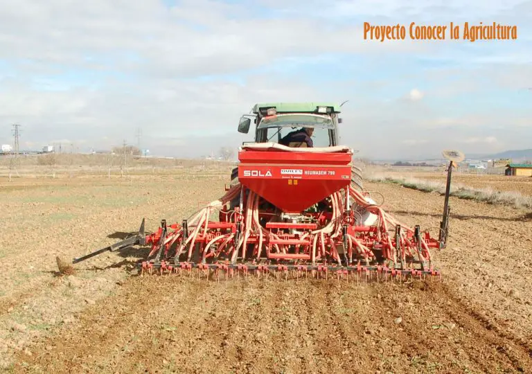 ¿Cómo se calcula una hectárea de terreno? - Enterate Delicias